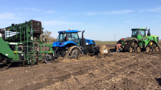 Meet Tom Torkelson: A small town farmer with a big love for potatoes ...