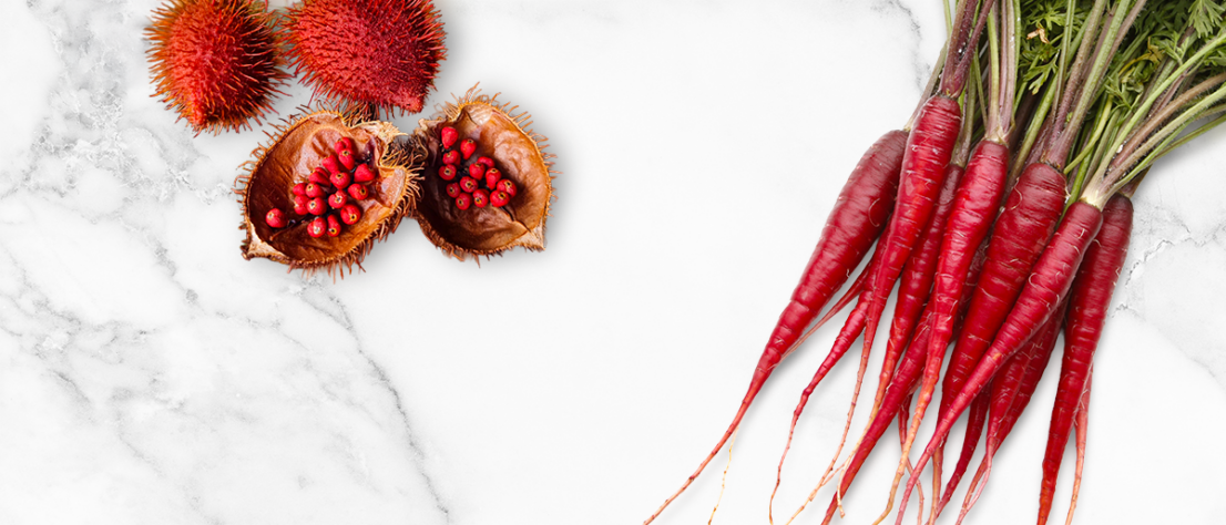 About Us - The Campbell's Company